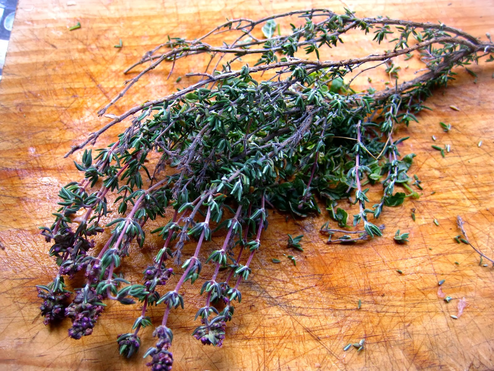 Slow-Roasted Duck with Orange and Thyme – Wild Thymes Cooking